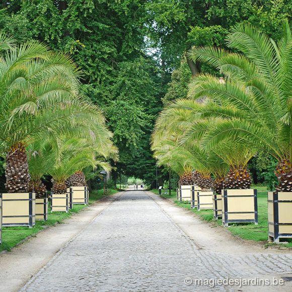 Jardin Botanique Meise