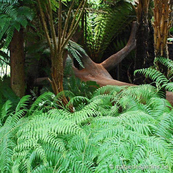 Jardin Botanique Meise