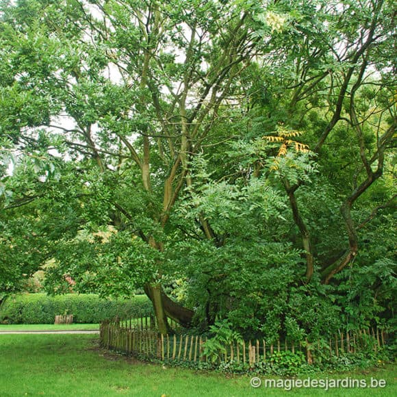 Parc Tenbosch