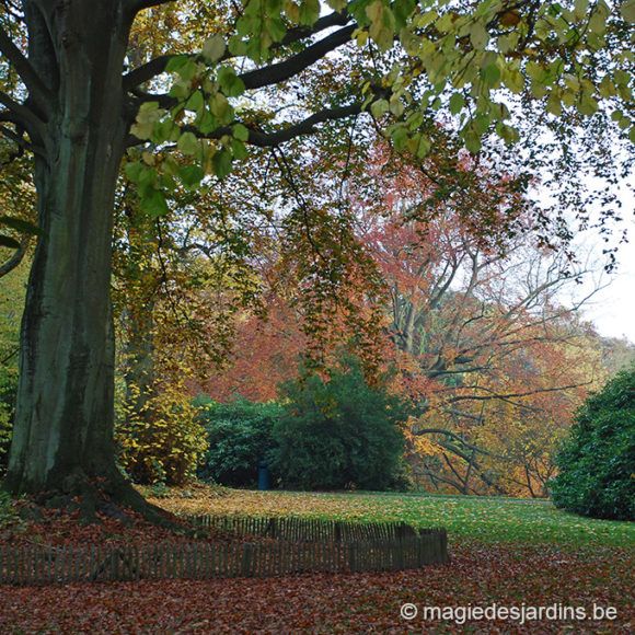 Parc Tournay-Solvay en automne.