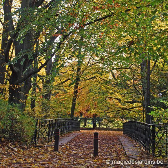 Parc Tournay-Solvay en automne.