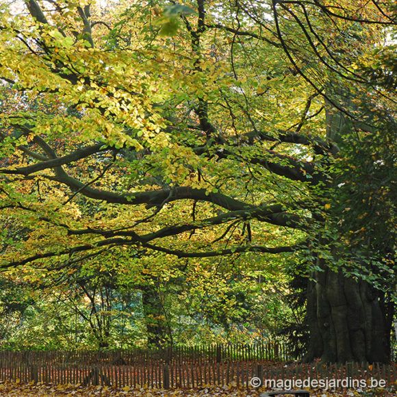 Parc Tournay-Solvay en automne.