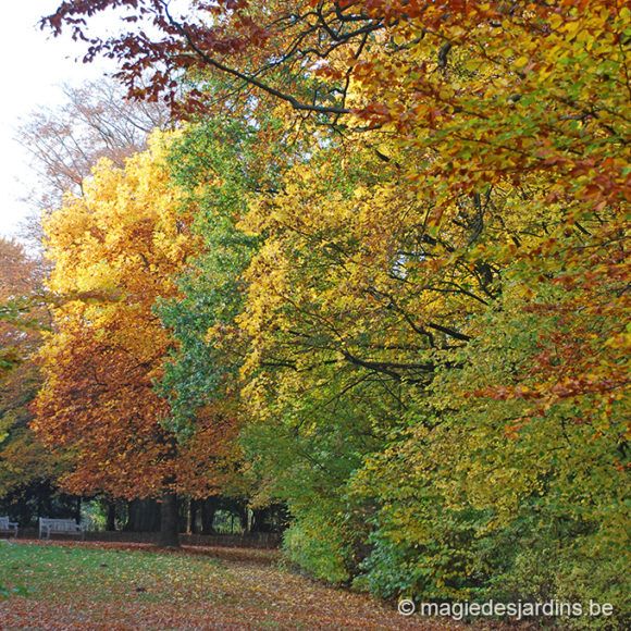 Parc Tournay-Solvay en automne.
