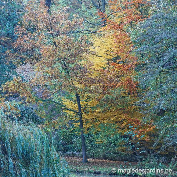 Parc Tournay-Solvay en automne.