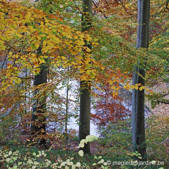 Parc Tournay-Solvay en automne.