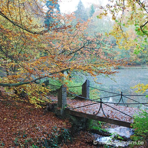 Parc Tournay-Solvay en automne.