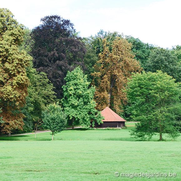 Jardin Botanique Meise